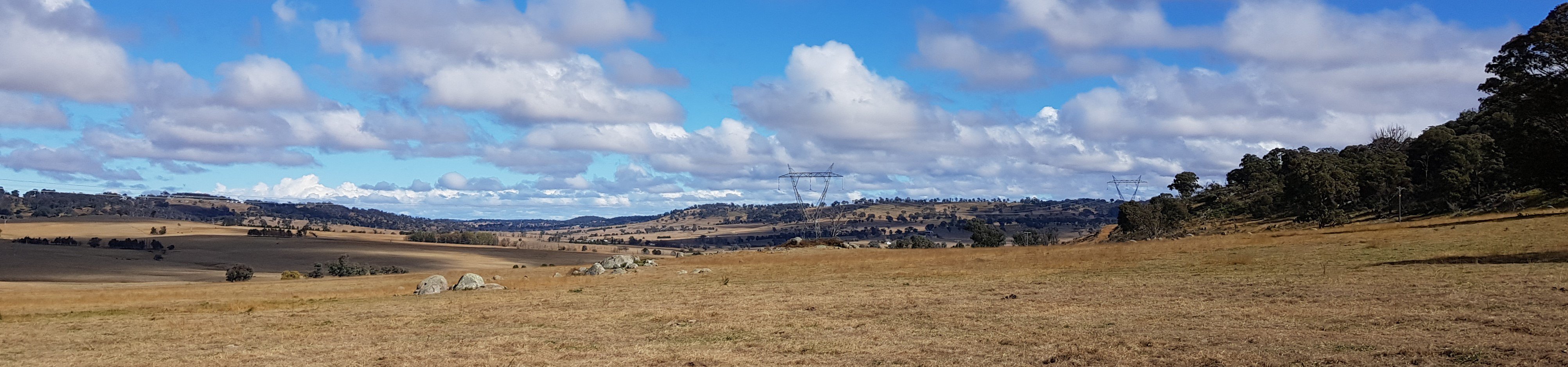 Doughboy Wind Farm Project Introduction
