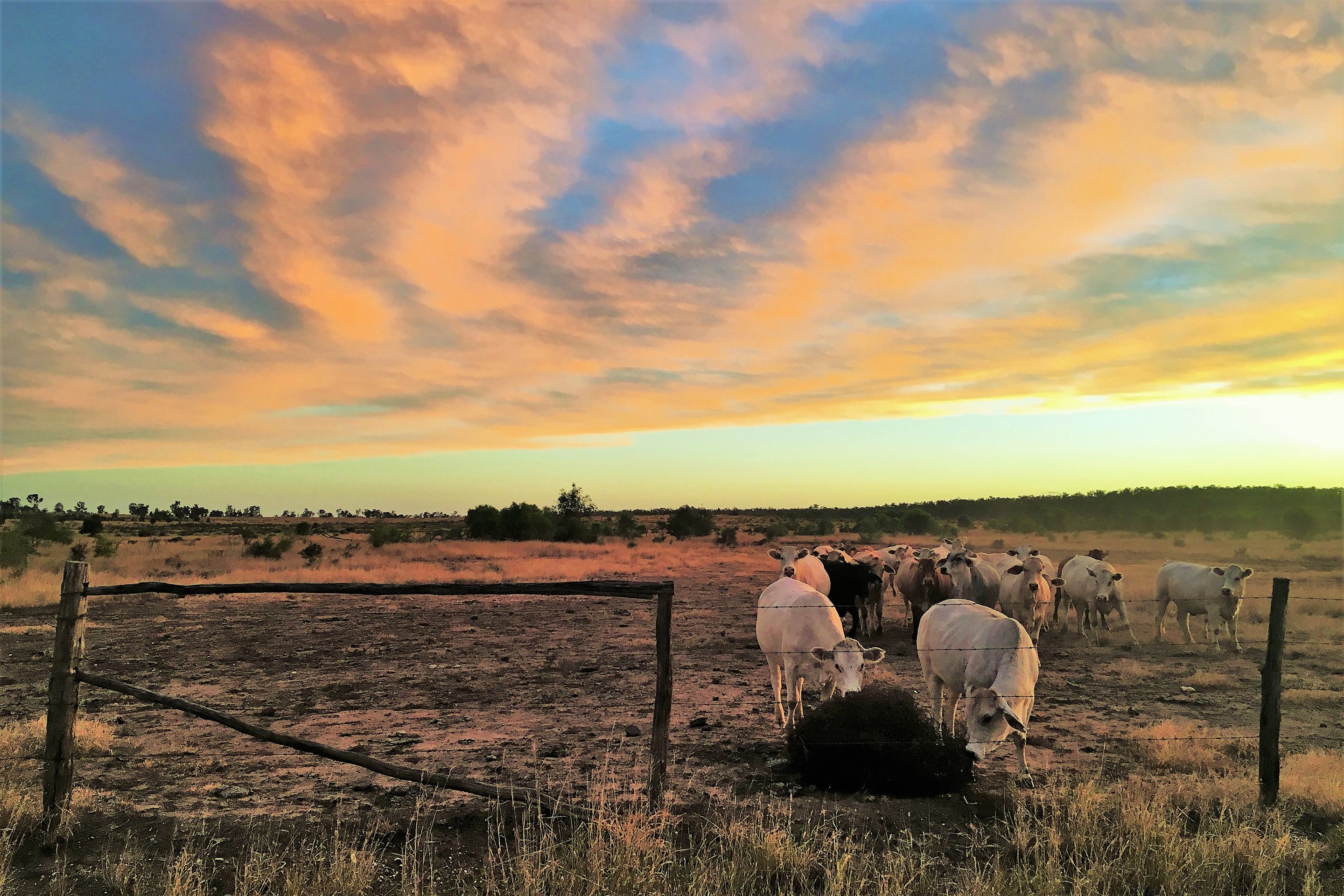 MEDIA RELEASE: Sale of Clermont Solar Farm; Construction to Commence ...