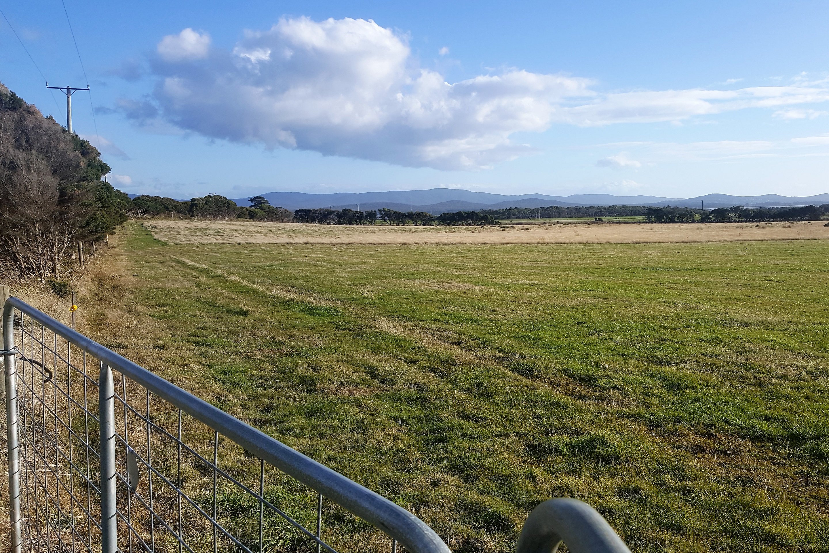 George Town Solar on Public Exhibition | Ark Energy