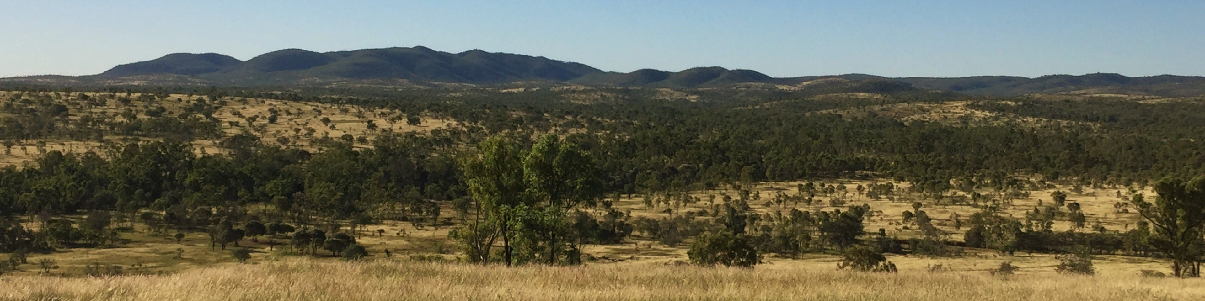 Lotus Creek Wind Farm EPBC decision | Ark Energy