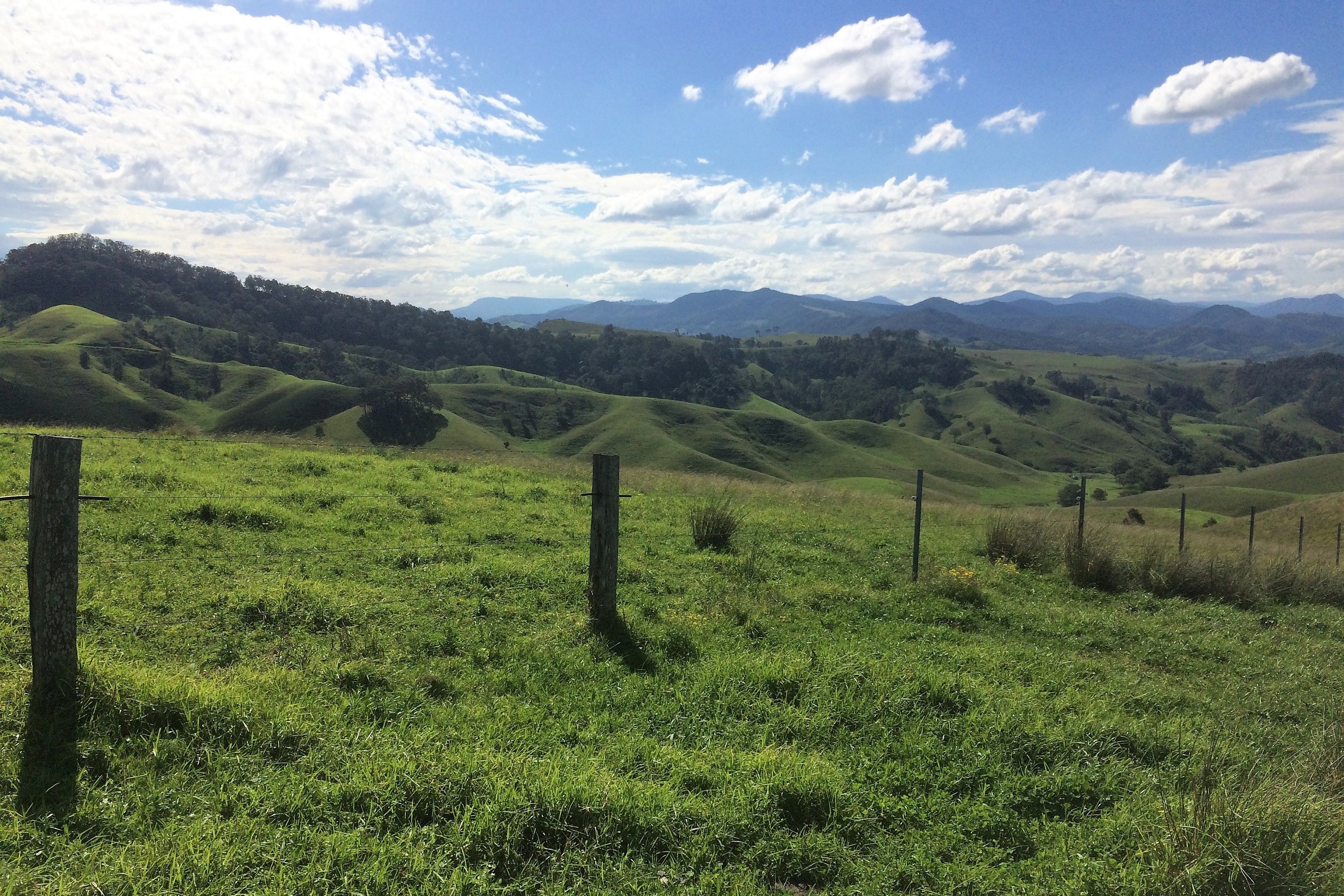 Stage 2 assessments update | Ark Energy