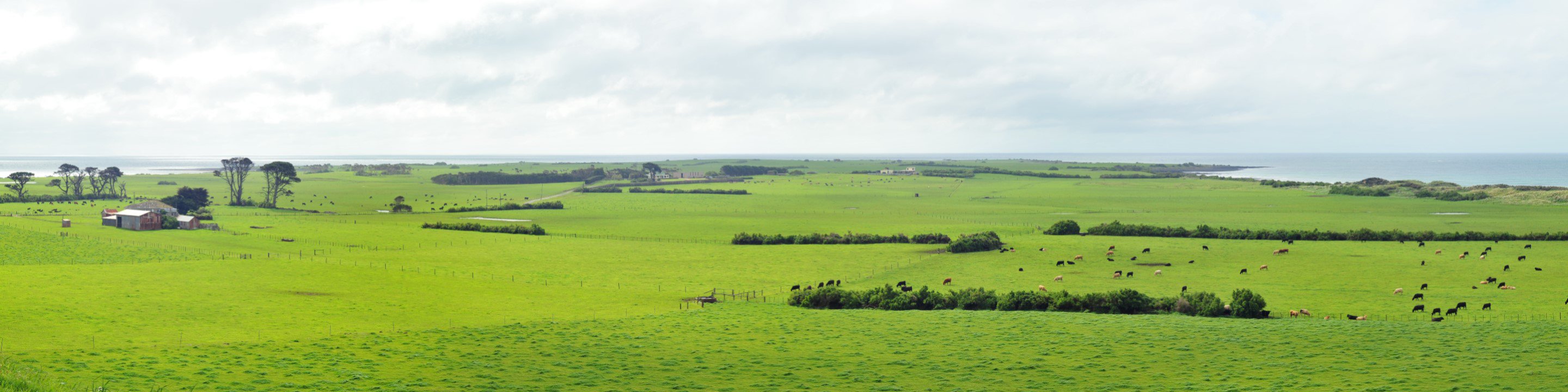 Western Plains Wind Farm Update